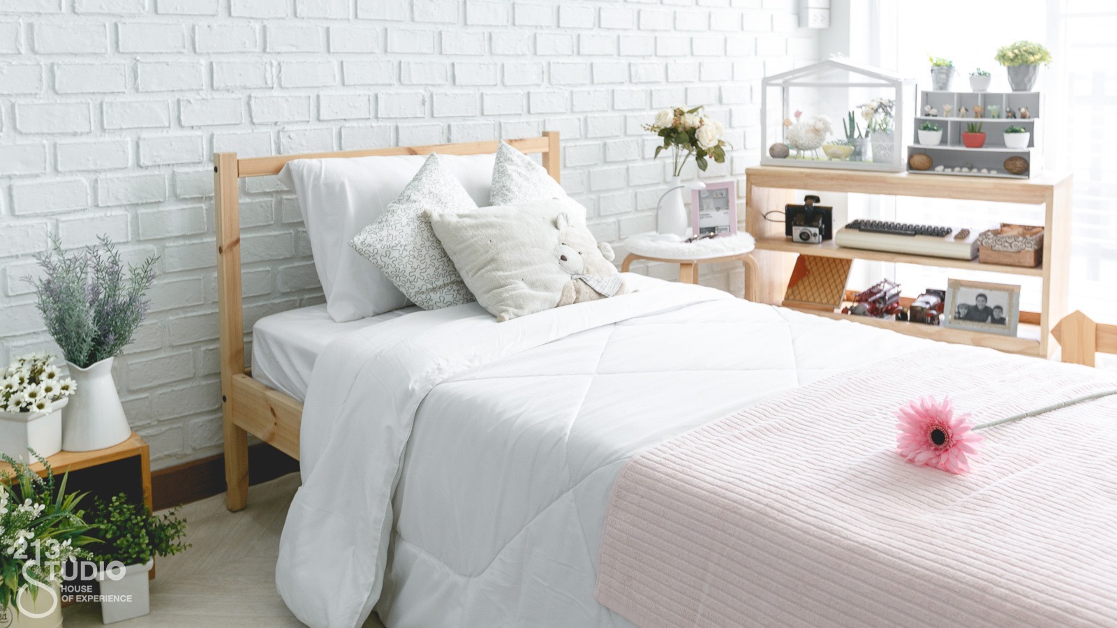 Studio 213 - Thai Loop